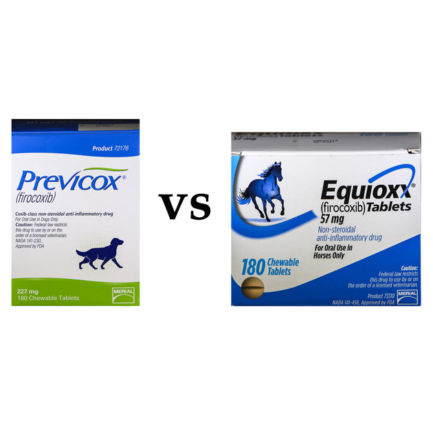 Previcox vs. Equioxx for Horses – Express Vet
