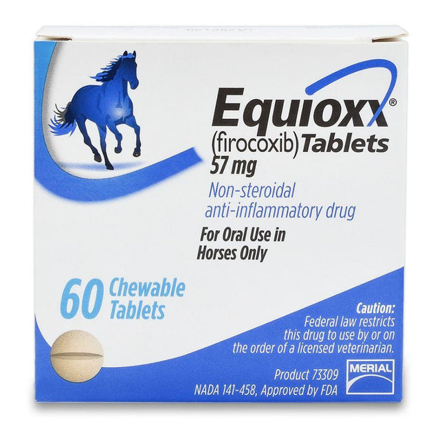 Horse – Express Vet