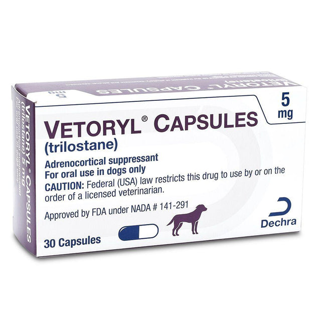 Dog – Express Vet