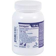 Enroquin (Enrofloxacin) Flavored Tablets, 1ct – Express Vet